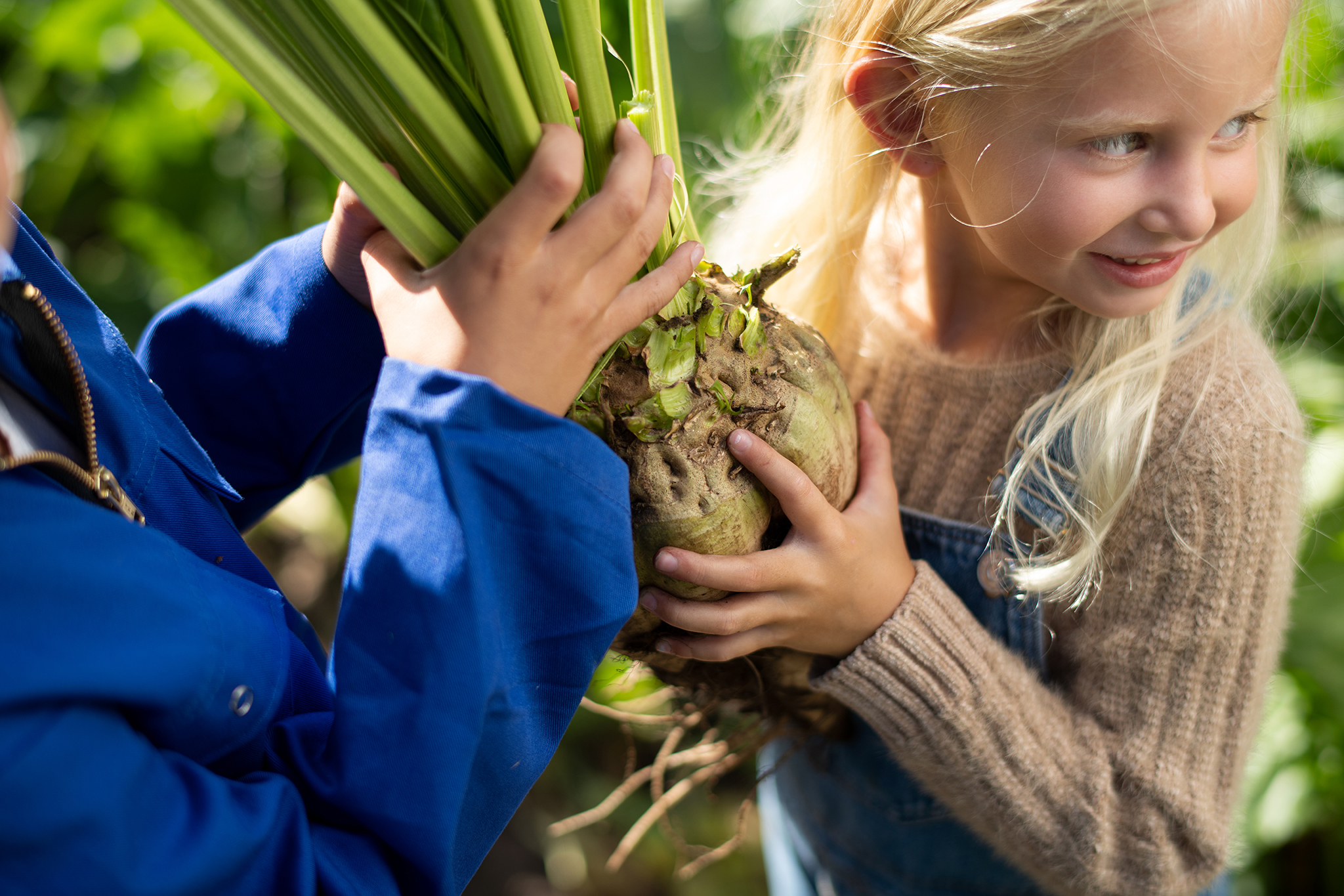 'The future is plant' brand campaign - DSPH - Image Builders